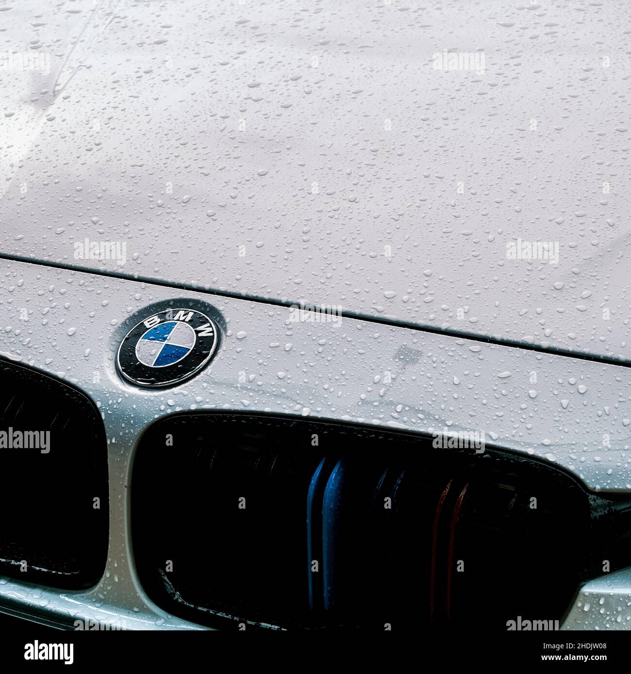 Plan vertical du logo BMW et du gril sur une capuche blanche BMW 330E ...