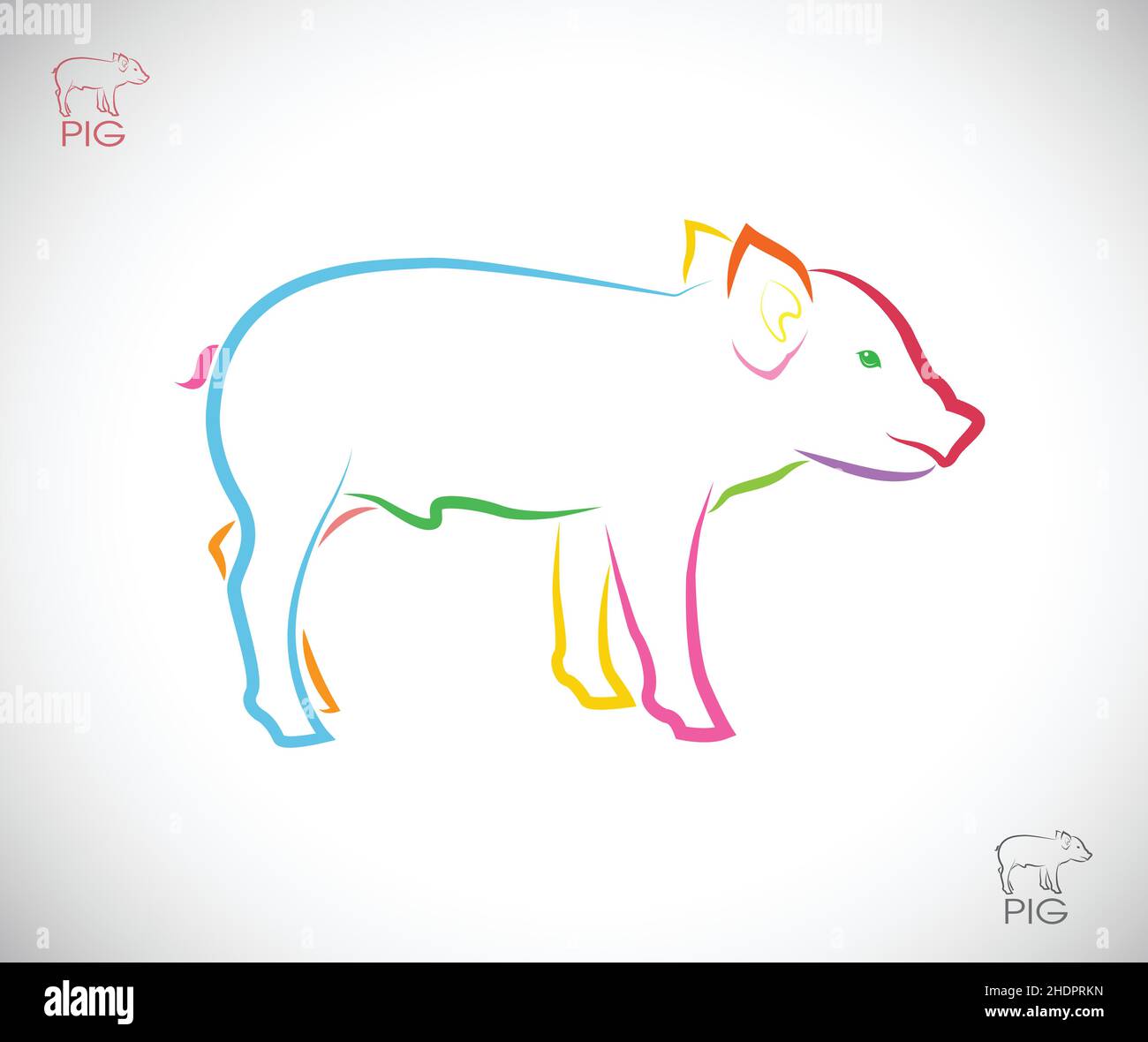 Vecteur d'un cochon sur fond blanc.Illustration vectorielle superposée ...