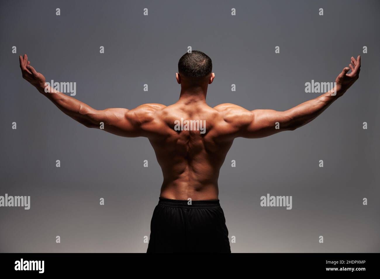 Dos, musculature, bodybuilder, muscle deltoïde, dos,constructions ...