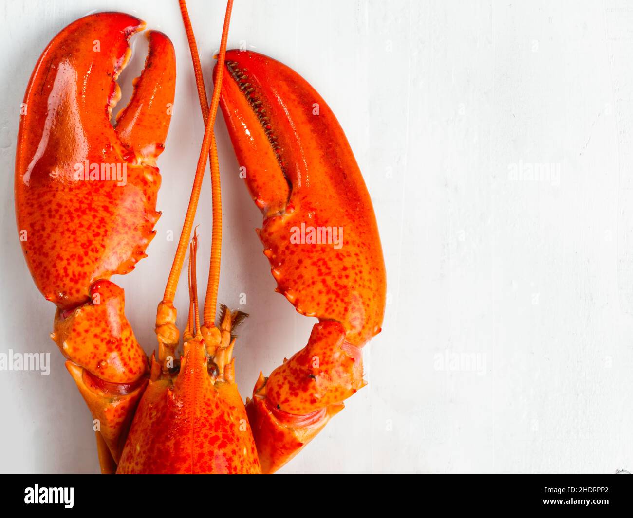 Homard mort Banque de photographies et d’images à haute résolution - Alamy
