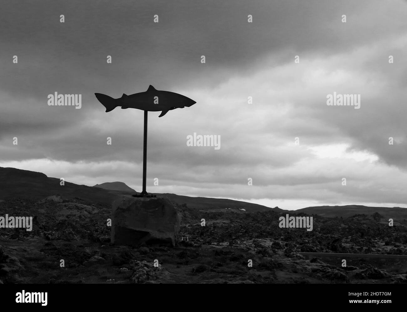Figures de poisson Banque de photographies et d’images à haute ...