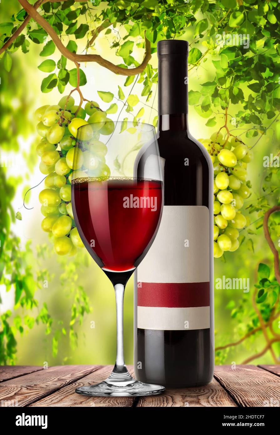 vin rouge, verre de vin rouge, bouteille de vin rouge, vins rouges ...