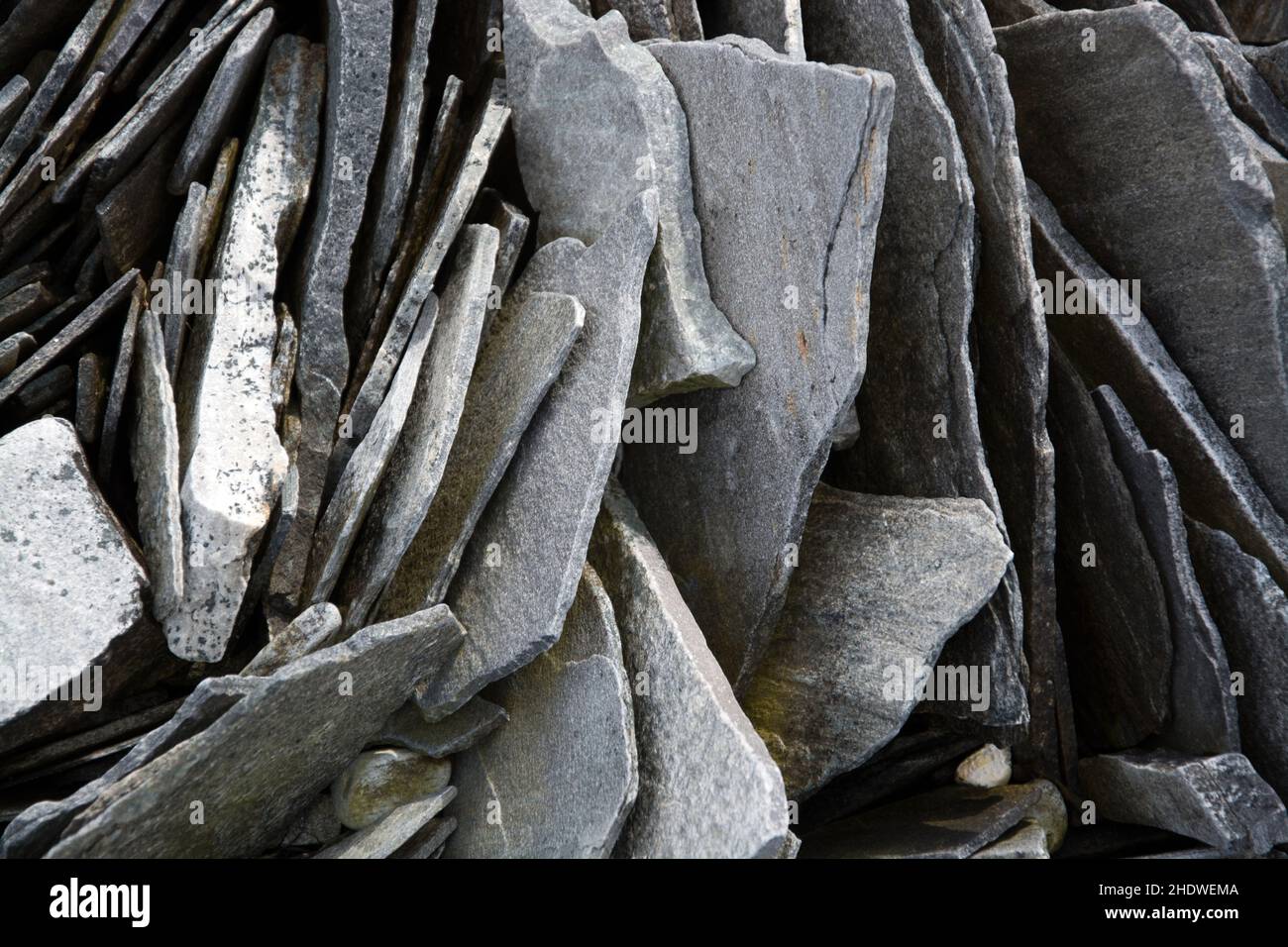 Schist stone Banque de photographies et d’images à haute résolution - Alamy