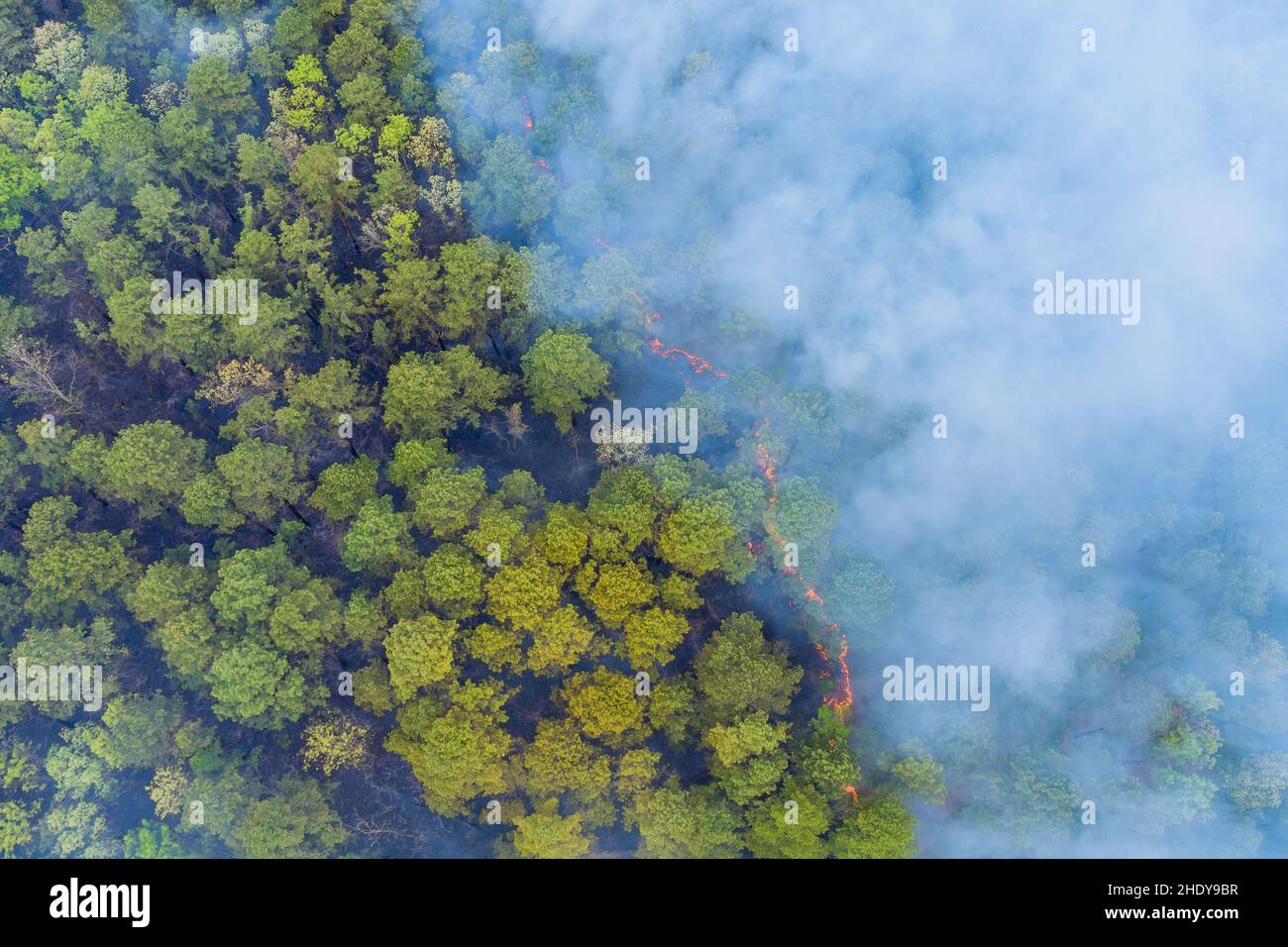 Vues aériennes des feux de forêt Banque de photographies et d’images à ...