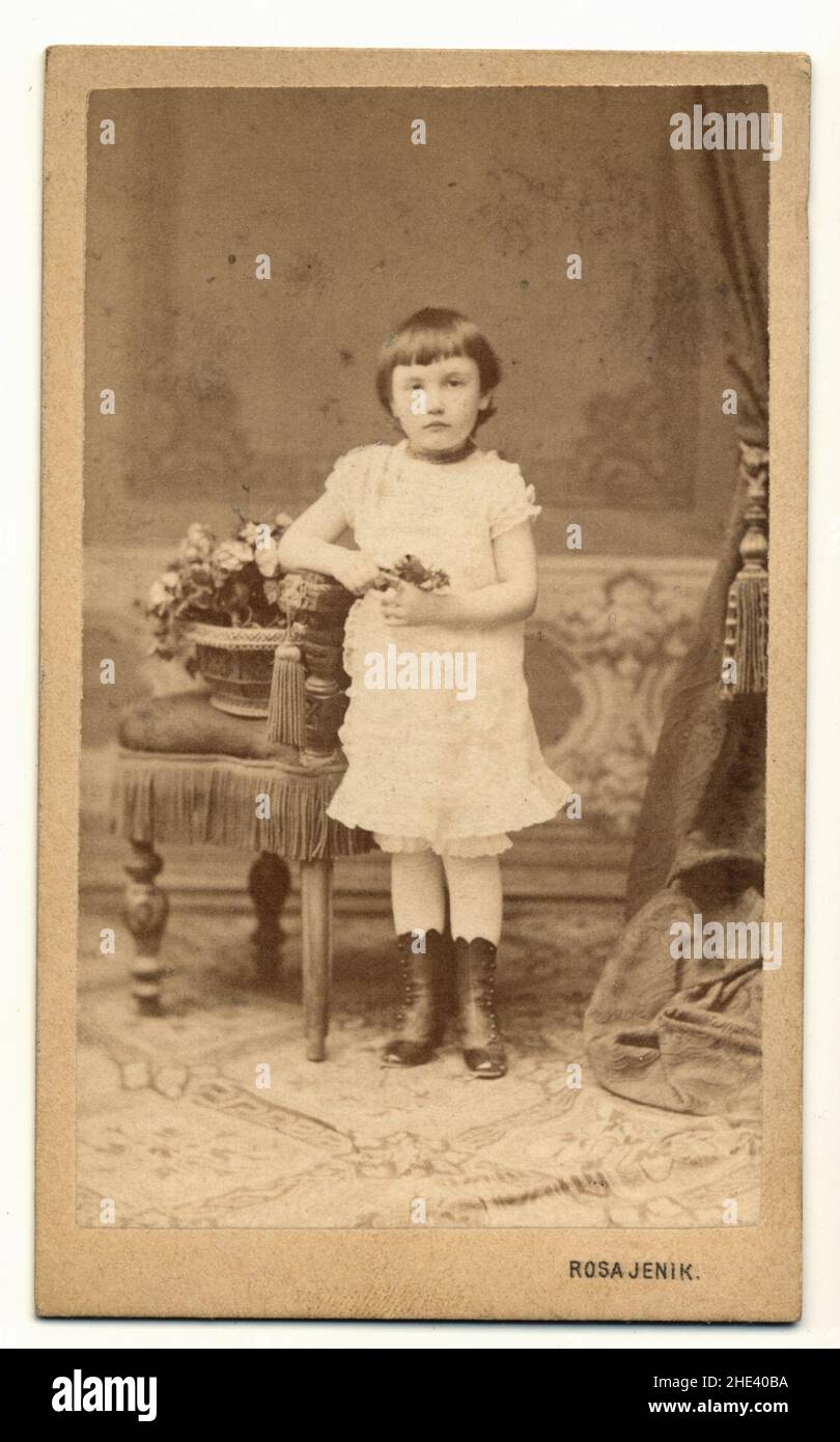 Rosa jenik Banque de photographies et d’images à haute résolution - Alamy