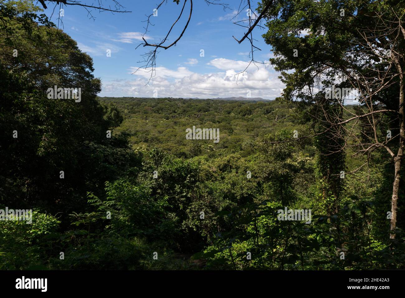 Santa rosa national park costa rica Banque de photographies et d’images ...