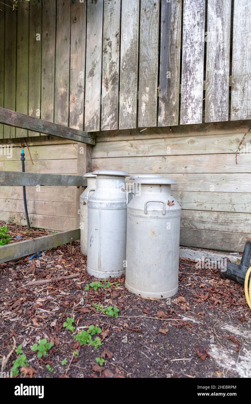 Victorian milk Banque de photographies et d’images à haute résolution ...