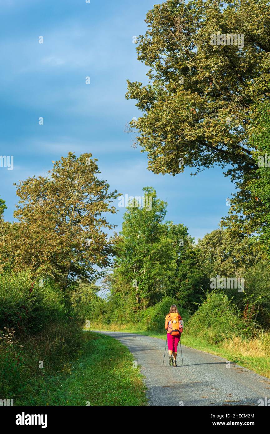 France, Indre, environs de Pommiers, randonnée sur la via Lemovicensis ...