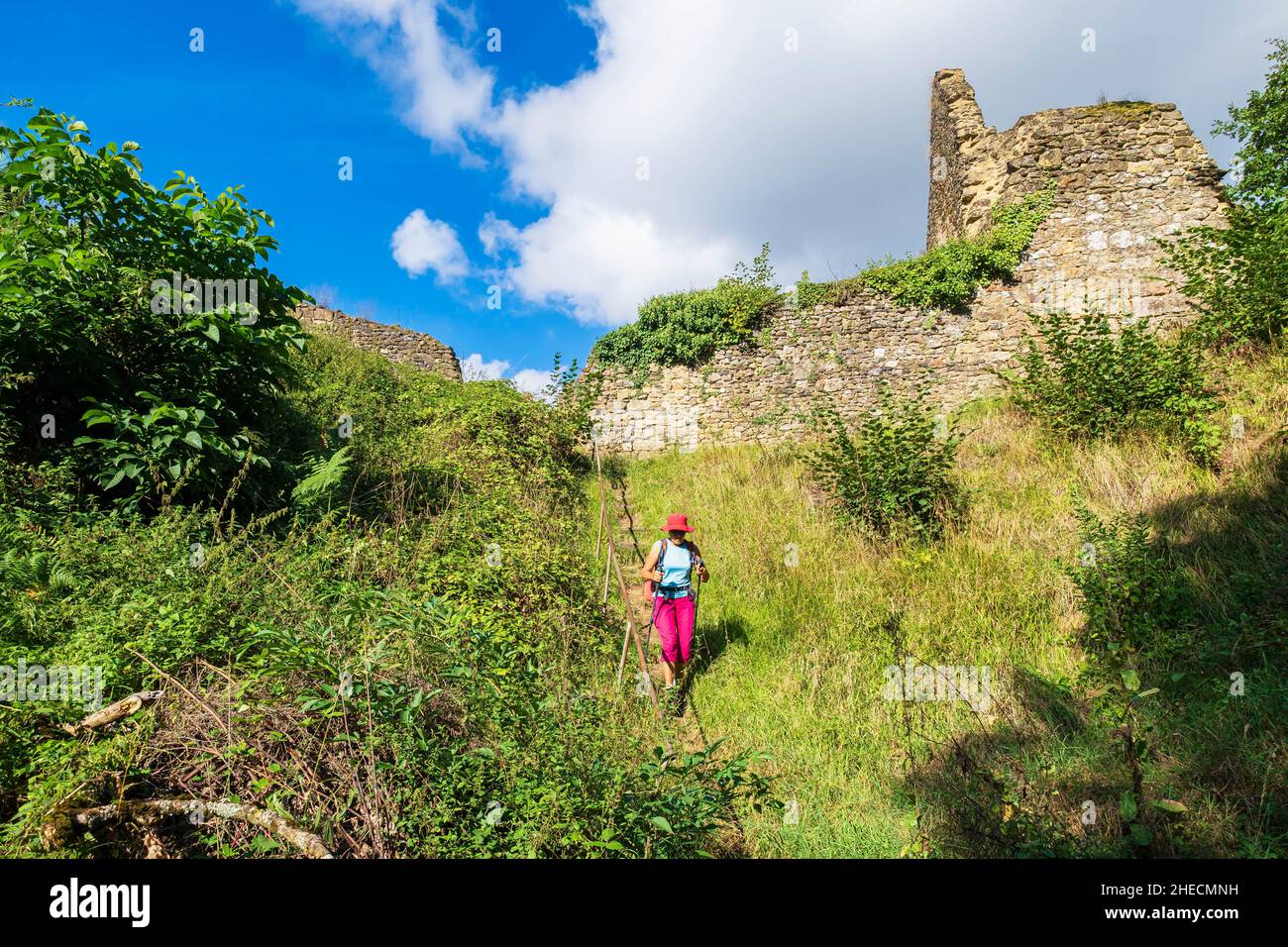 France, Indre, Cluis, randonnée sur la via Lemovicensis ou Vezelay Way ...