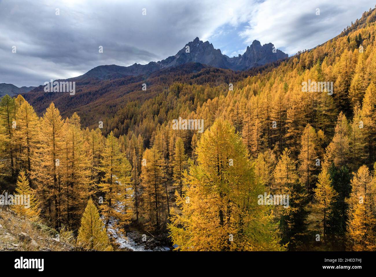 La claree Banque de photographies et d’images à haute résolution - Alamy