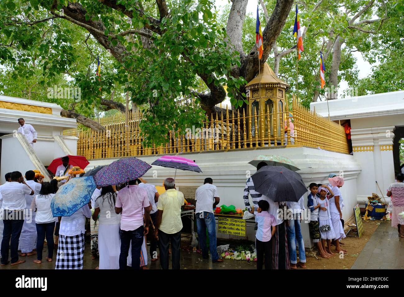 Jaya sri maha bodhiya Banque d'image et photos - Alamy
