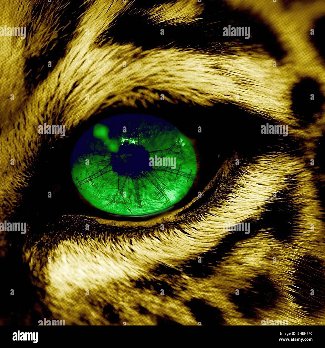 Yeux d'animal Banque de photographies et d’images à haute résolution ...