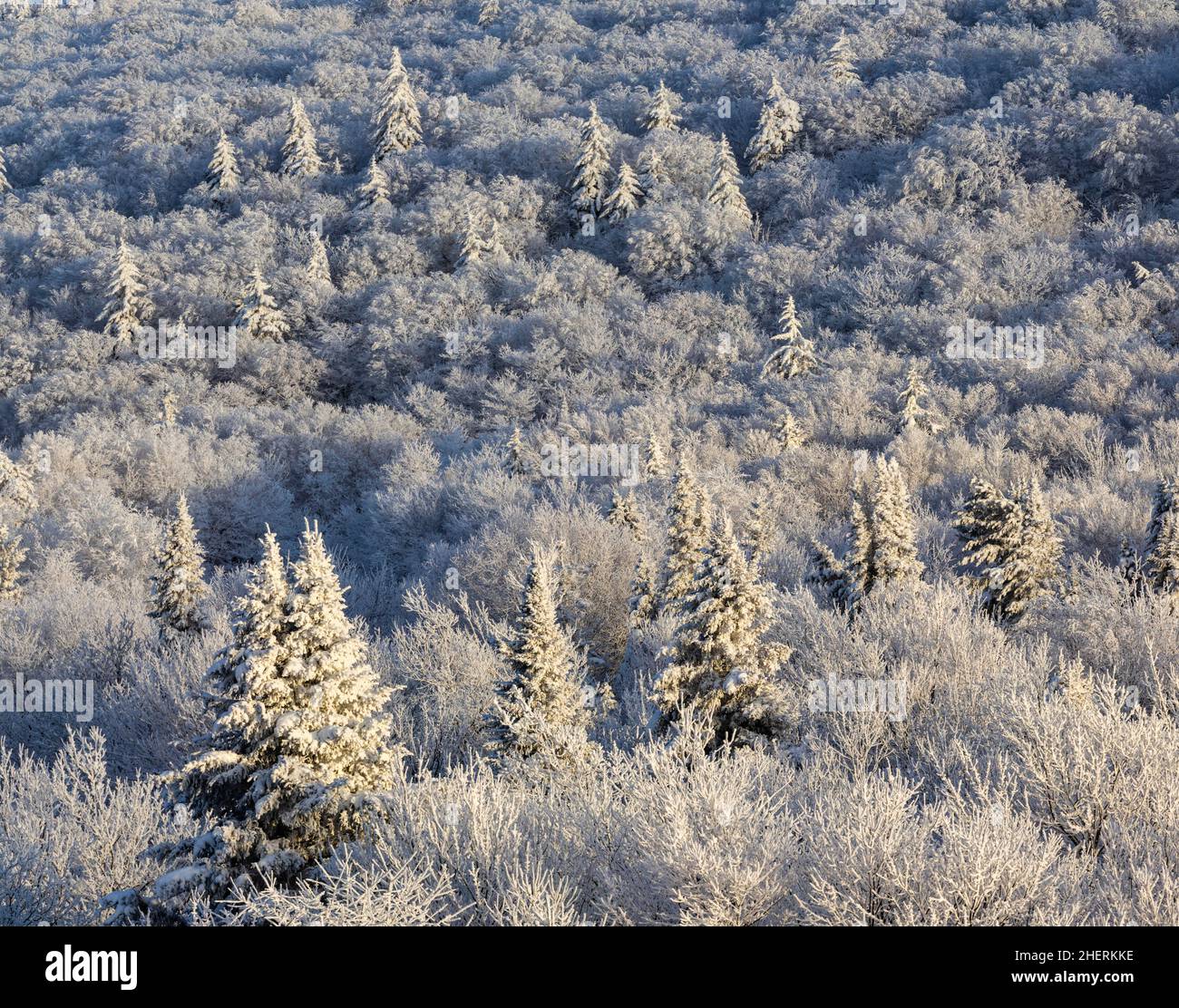 Paysage hiver quebec Banque de photographies et d’images à haute ...