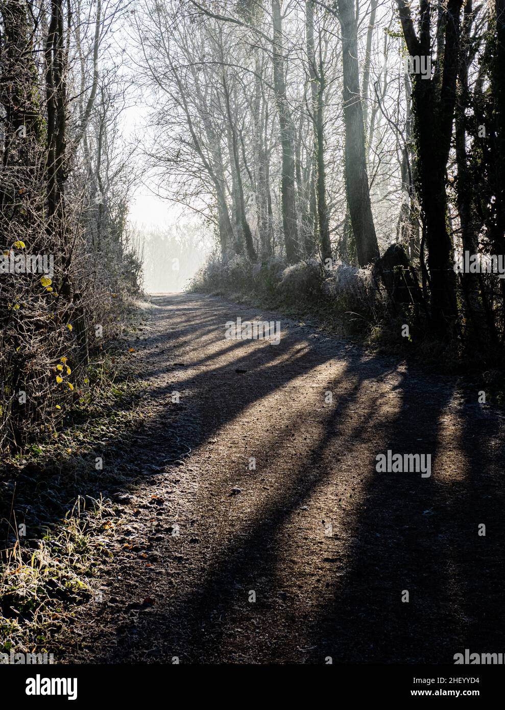 Ashton frost Banque de photographies et d’images à haute résolution - Alamy