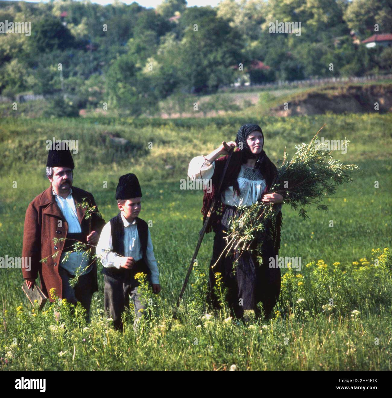 Lumina palida a durerii Banque de photographies et d’images à haute ...