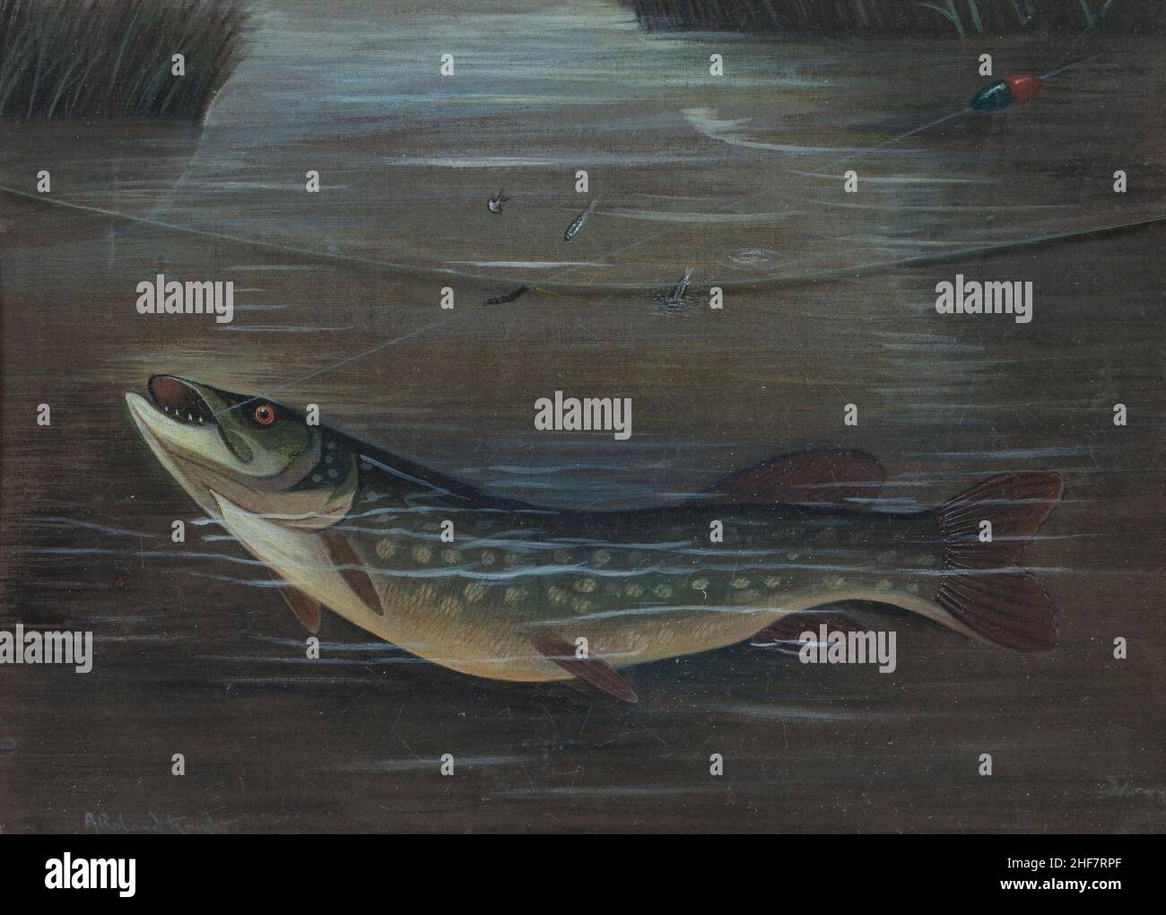 Roland knight Banque d'image et photos - Alamy