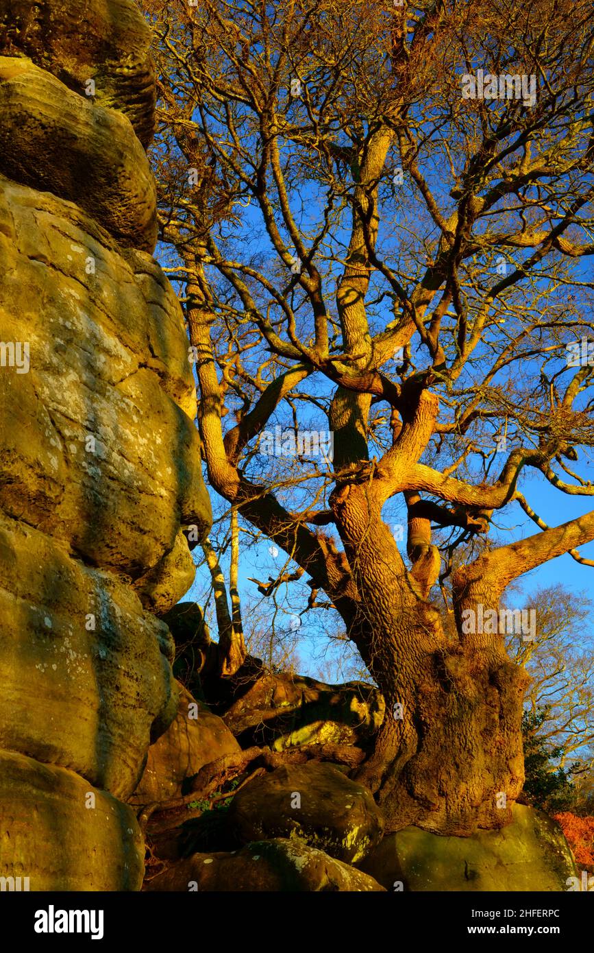 Harrisons rocks Banque de photographies et d’images à haute résolution ...