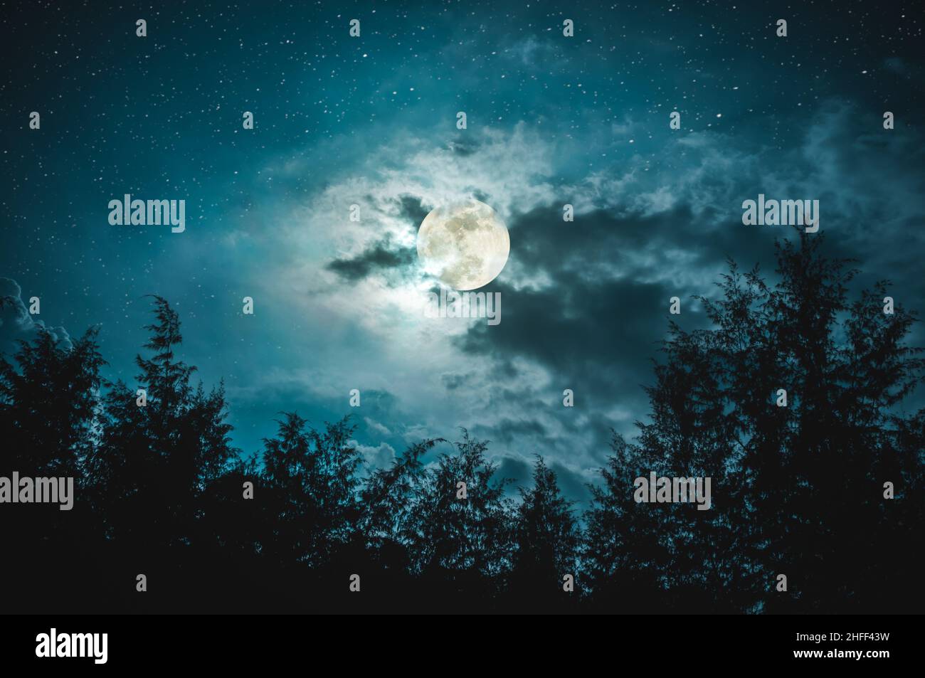 Magnifique ciel nocturne avec beaucoup d'étoiles et pleine lune ...
