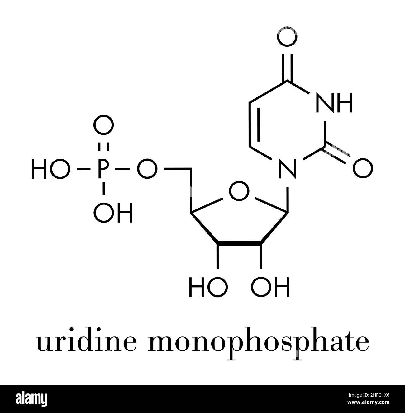 Uridine monophosphate nucleotide molecule Banque d'images vectorielles - Alamy