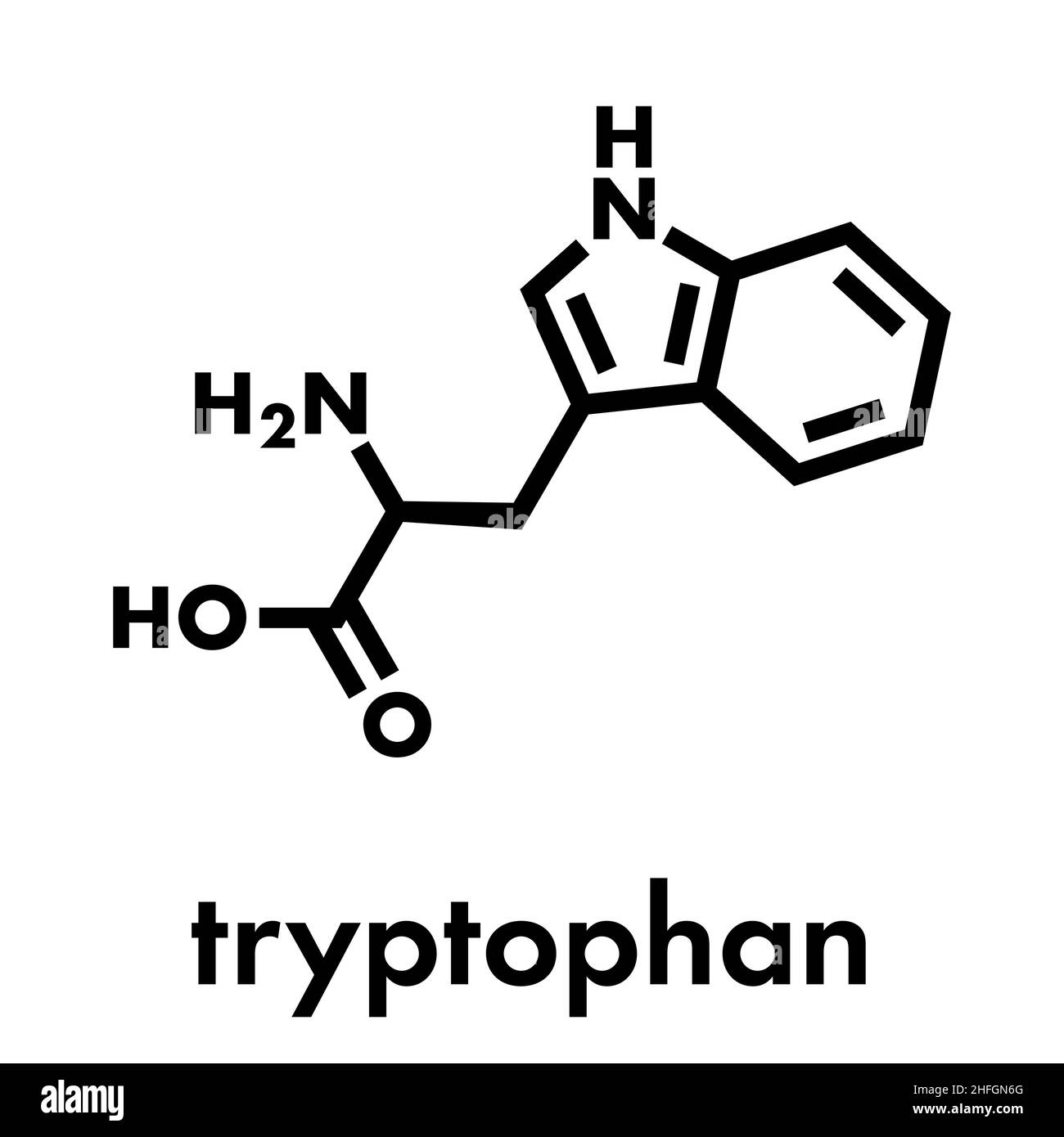 Formule chimique tryptophane Banque d'images vectorielles - Alamy