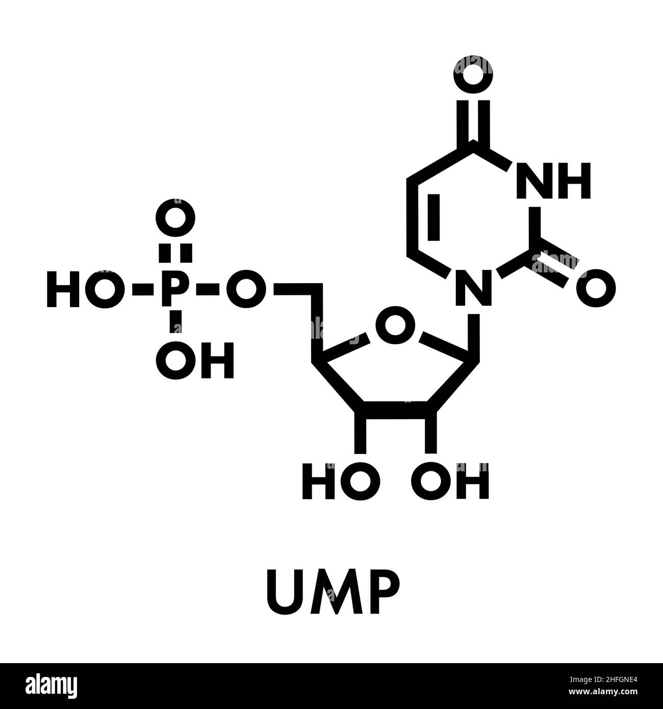 Uridine Monophosphate Nucleotide Molecule Banque Dimages Vectorielles
