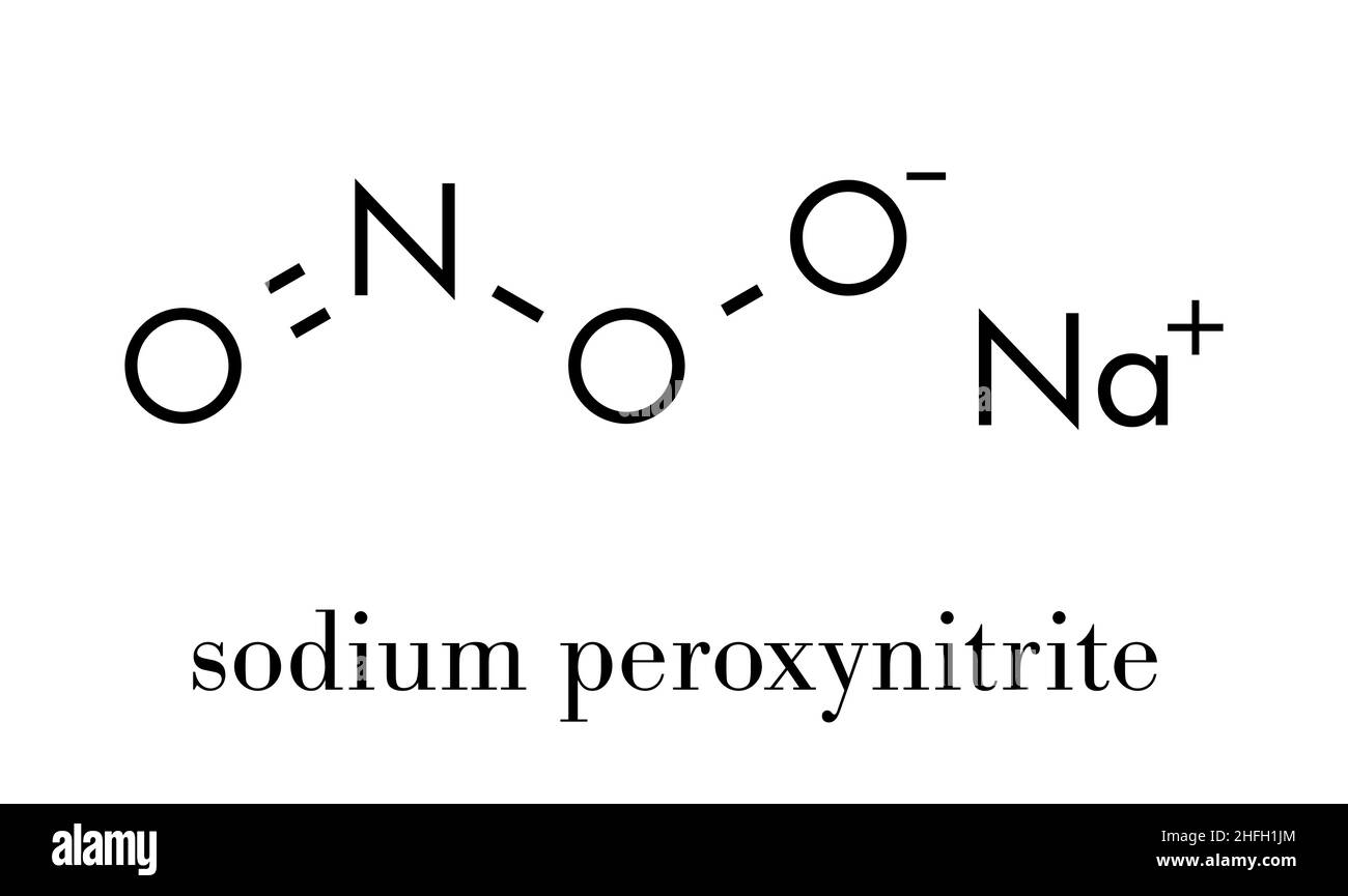 Le peroxynitrite (sodium) molécule d'espèces d'azote réactif. Formé par ...