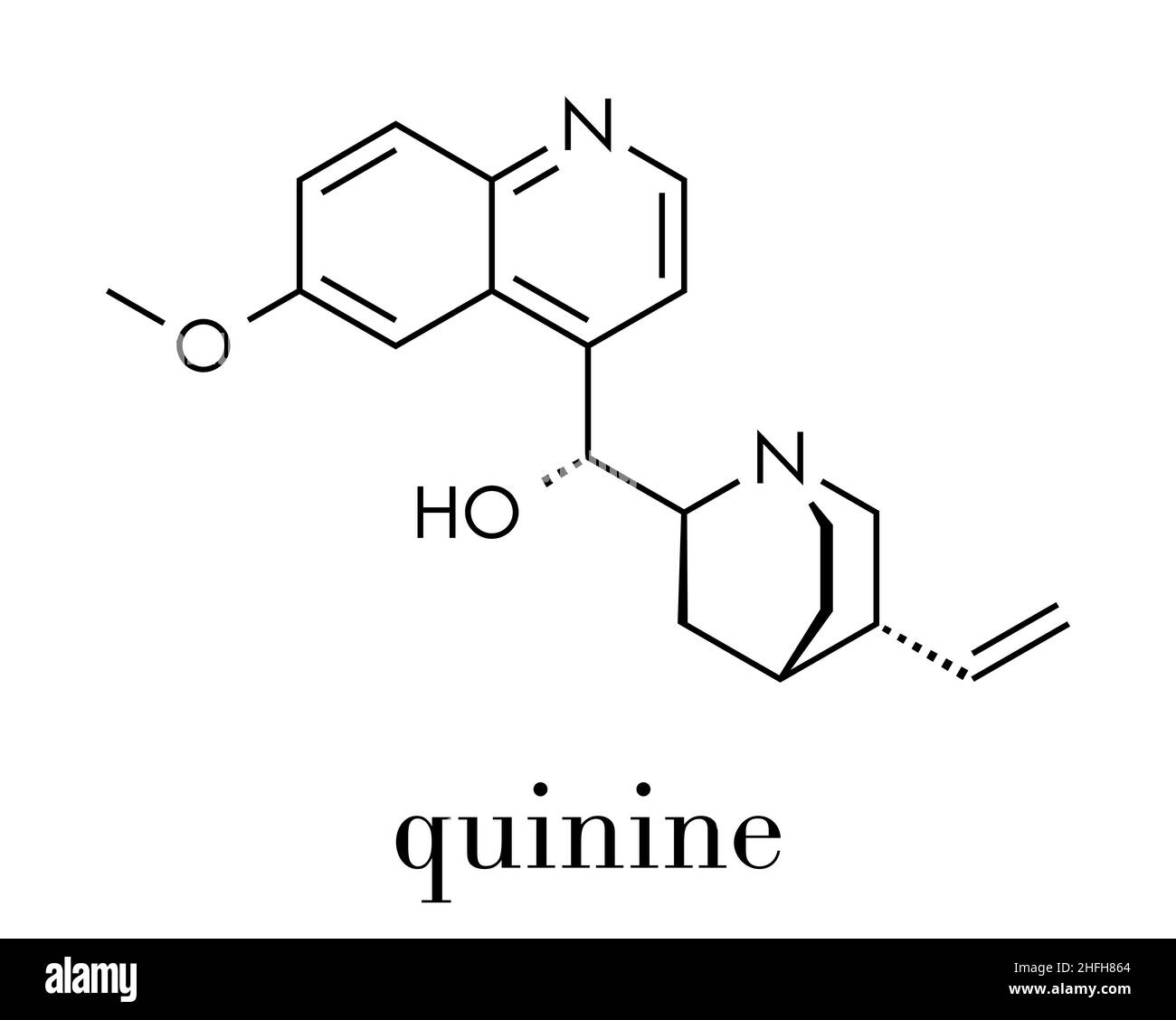 Arbre de quinquina Banque d'images vectorielles - Alamy