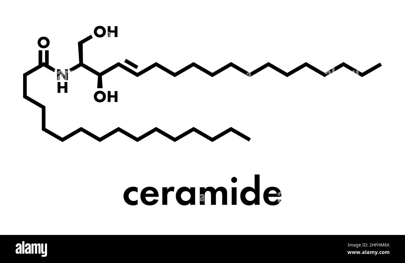 Molécule lipidique de membrane cellulaire de céramide. Formule du ...