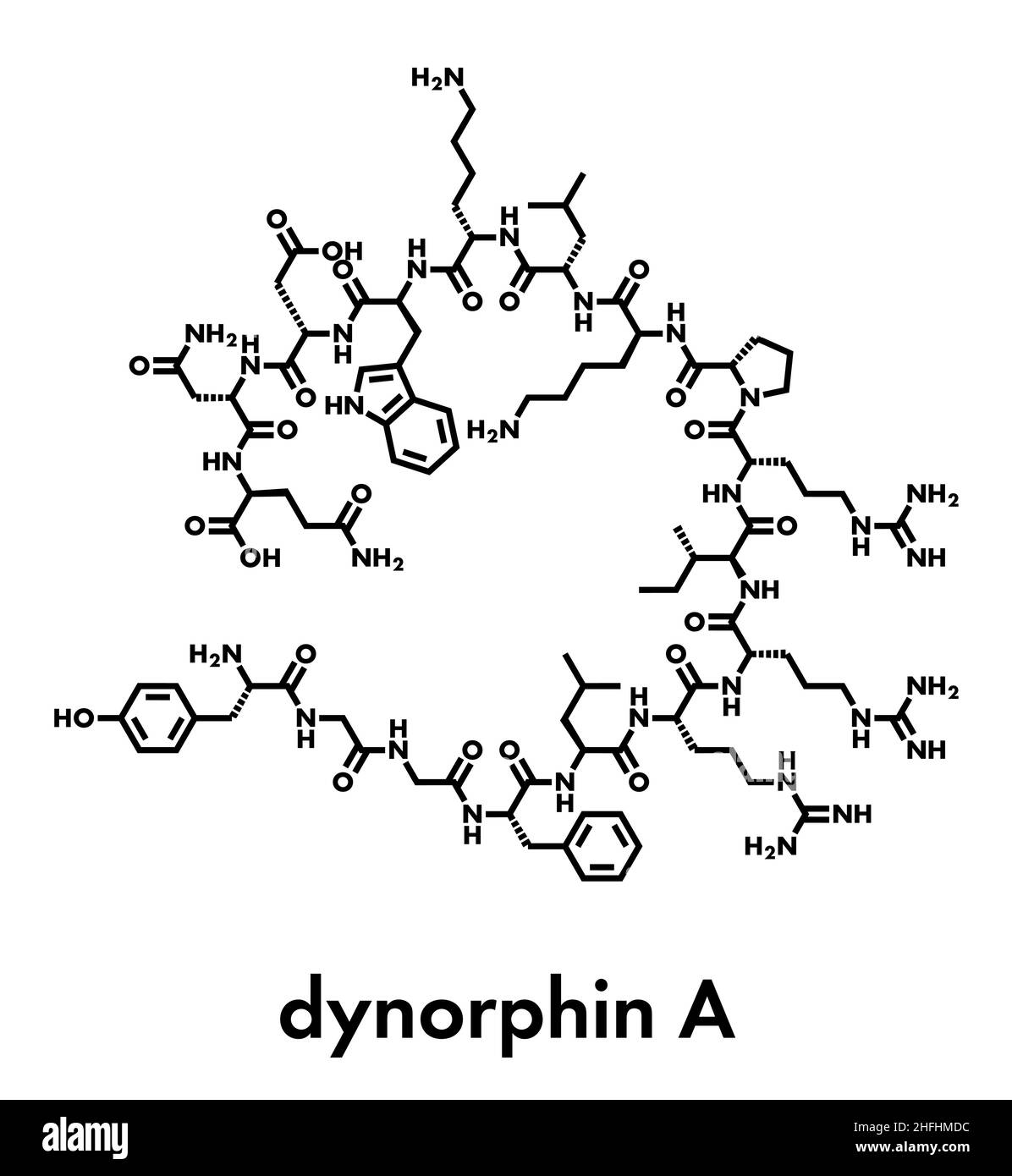 La dynorphine un peptide opioïde endogène molécule. Formule topologique ...