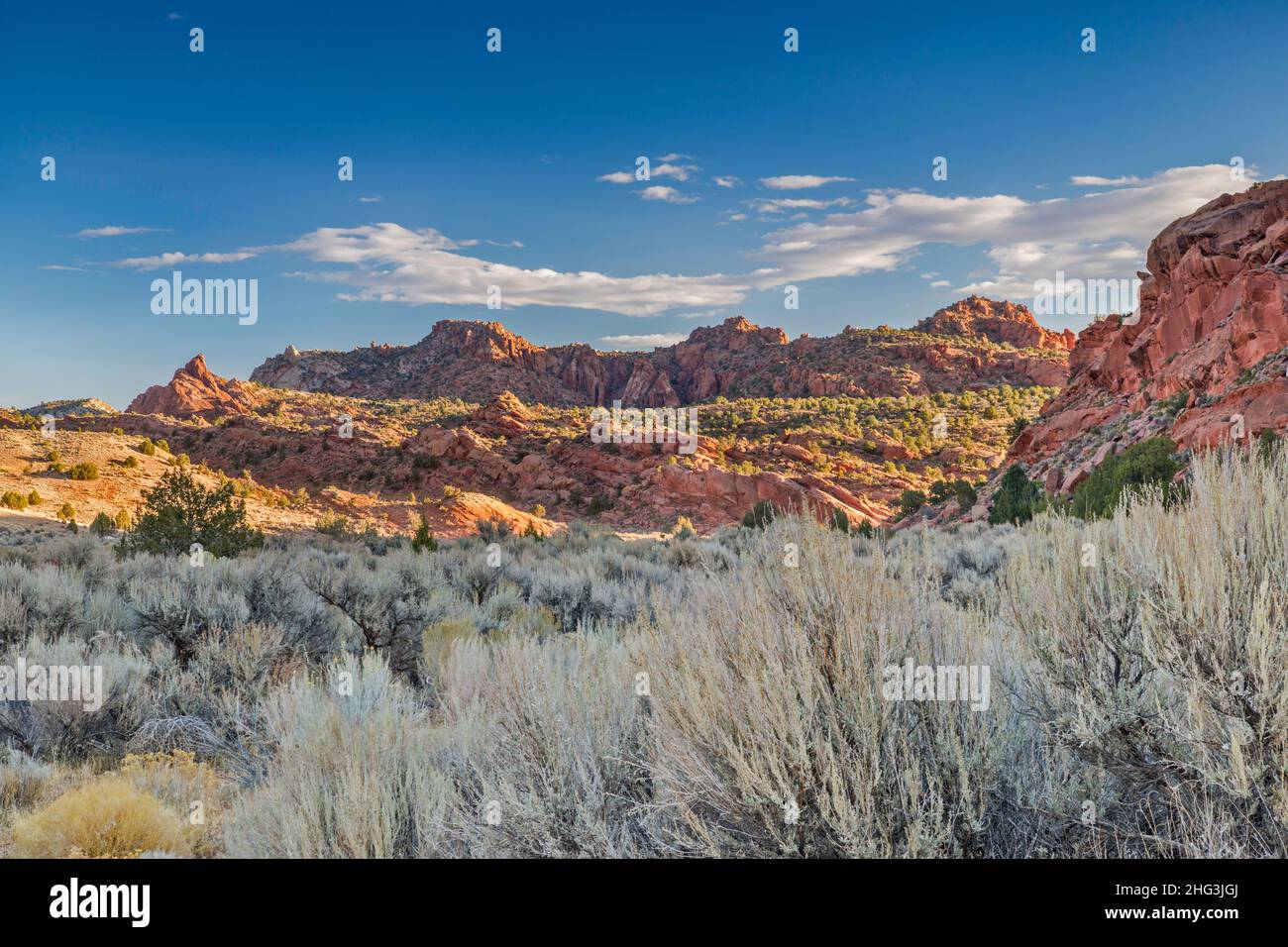 Grands arbustes à broussailles, rochers Cockscomb, House Rock Valley ...
