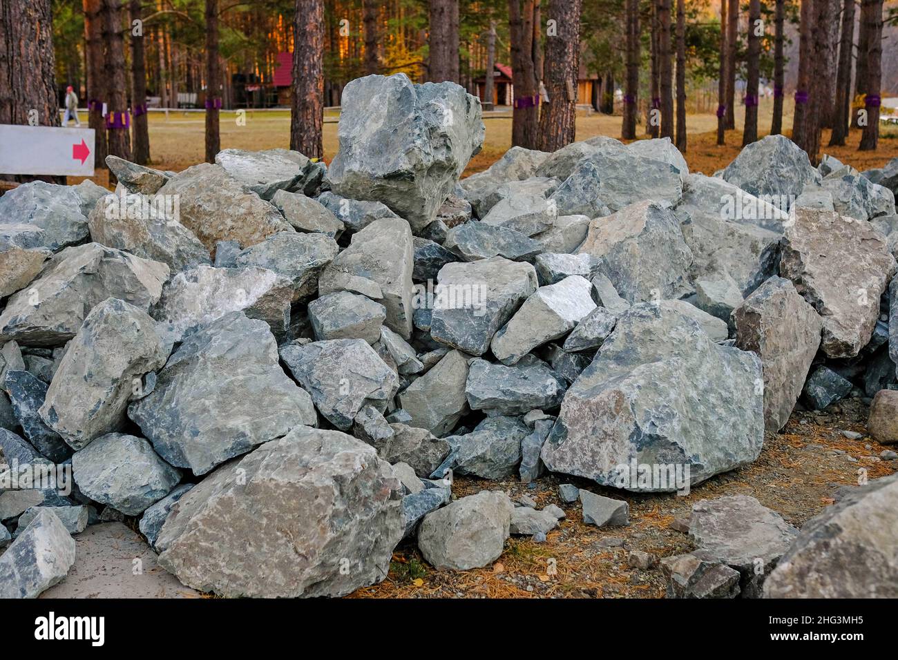 Roche au sol Banque de photographies et d’images à haute résolution - Alamy