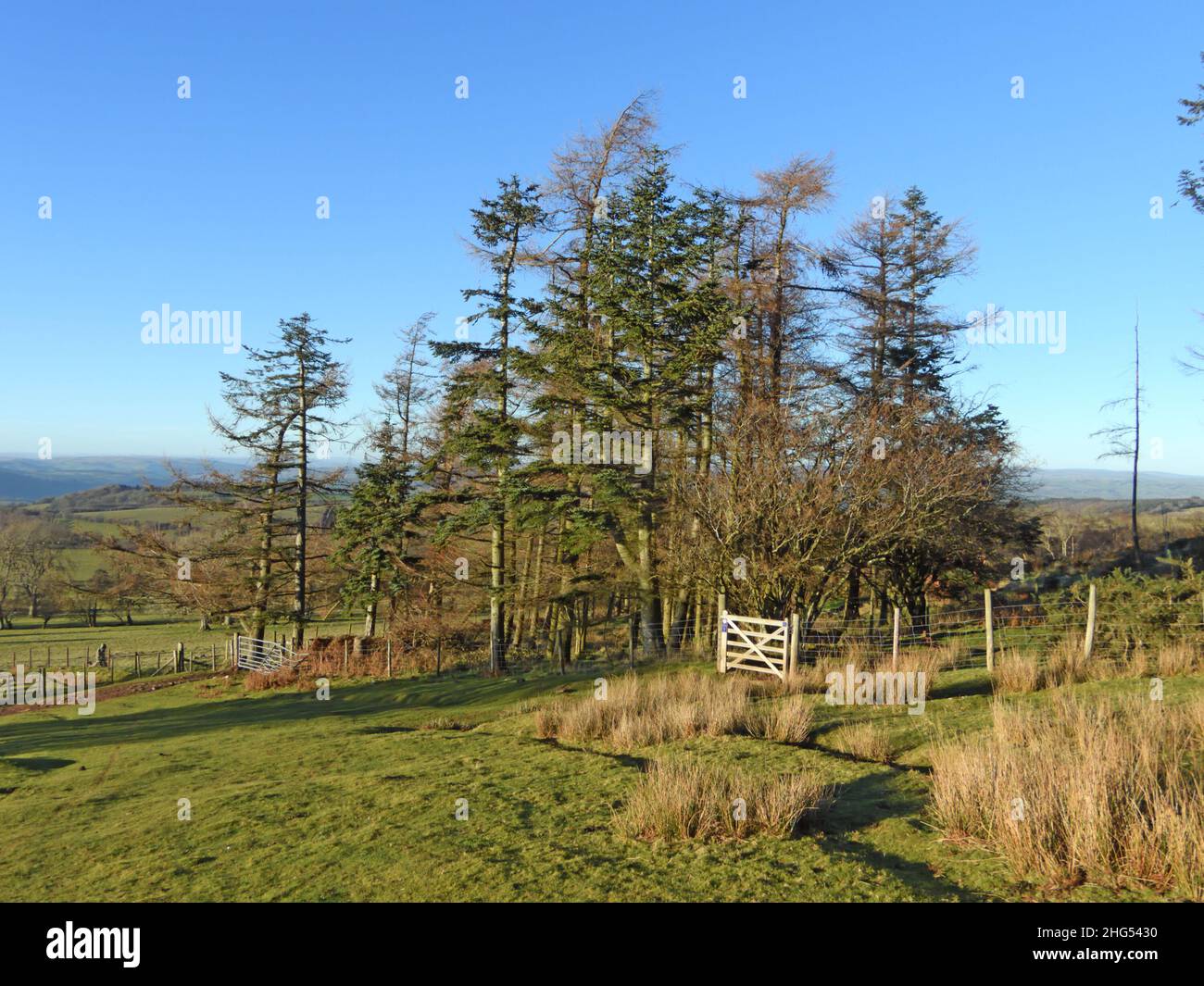 Frank noble Banque de photographies et d’images à haute résolution - Alamy