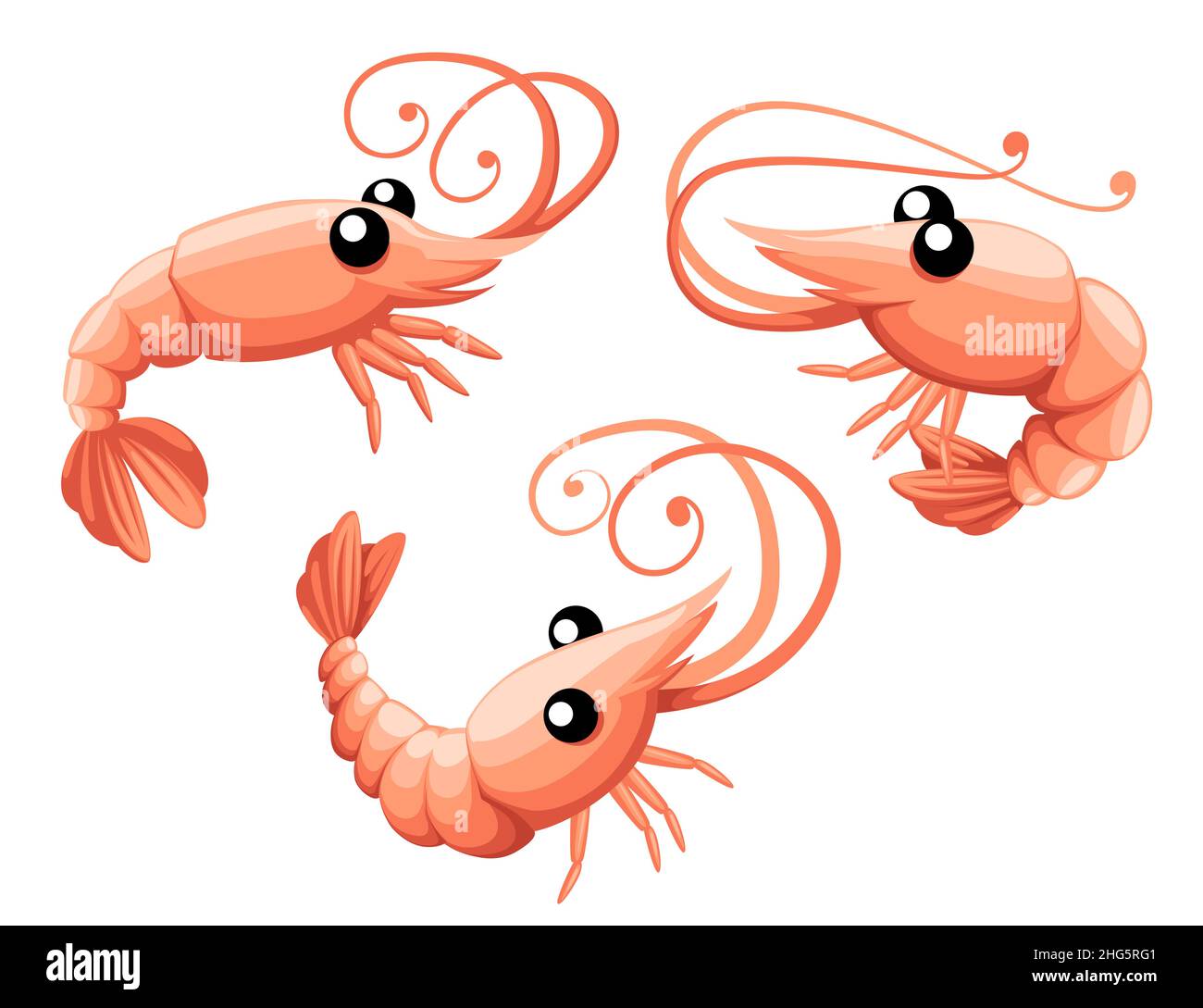 Cute la crevette. Cartoon animal character design. Piscine de crustacés ...