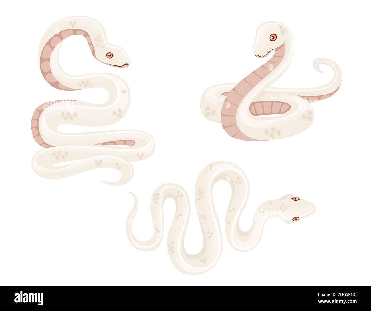 Ensemble de serpent albino blanc dessin animé animal dessin plat ...