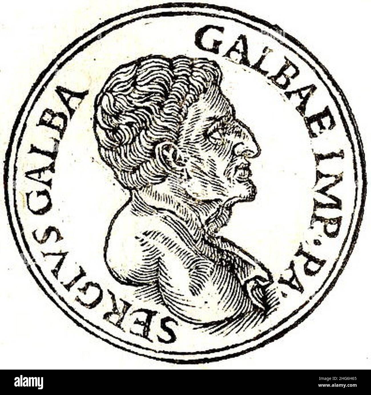 Servius galba Banque de photographies et d’images à haute résolution ...