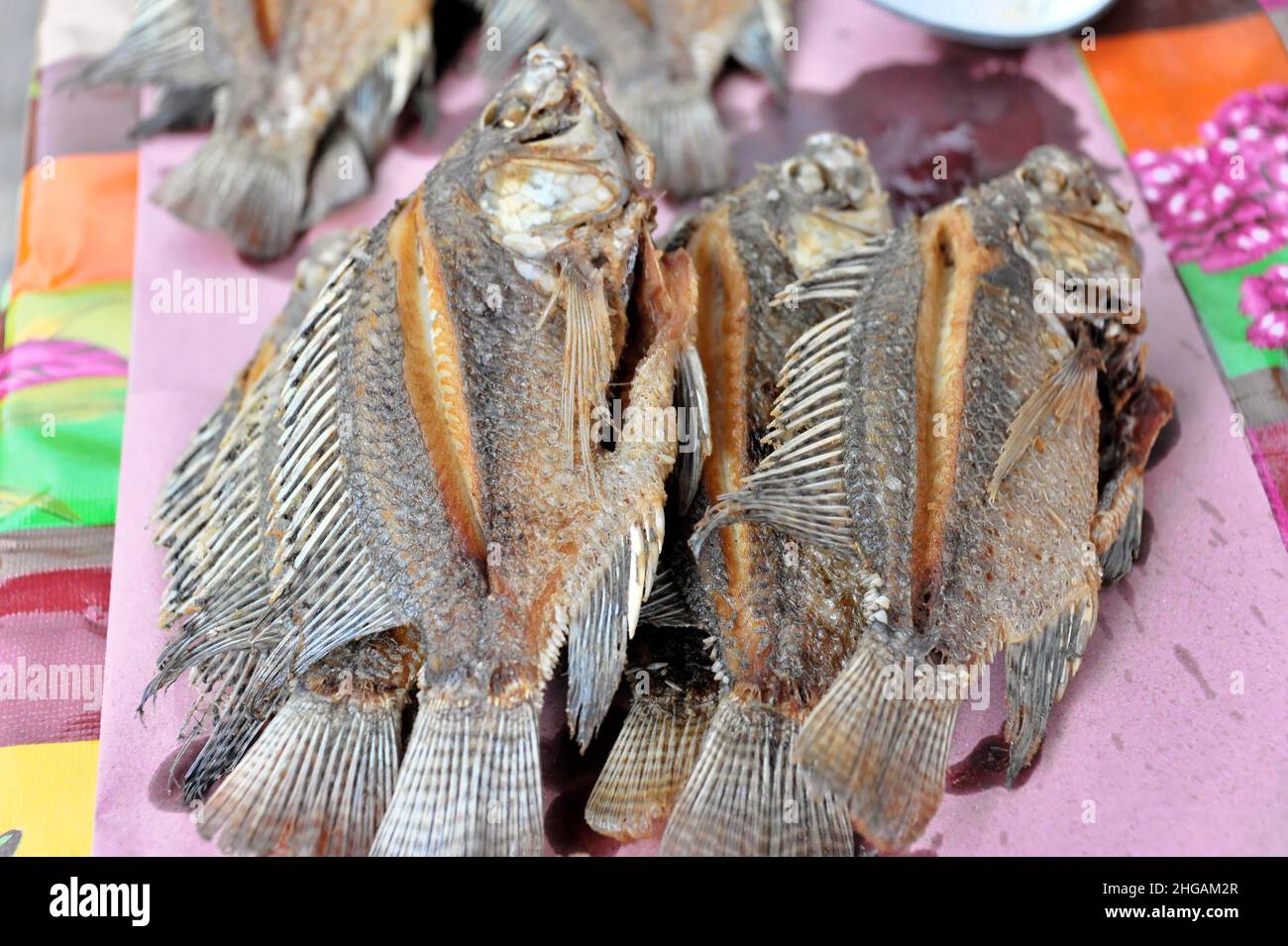 Poisson mexique Banque de photographies et d’images à haute résolution ...