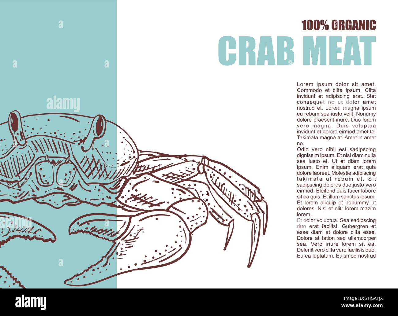 Flyer crabe viande fruits de mer.Dessin main en crabe esquisse et texte ...