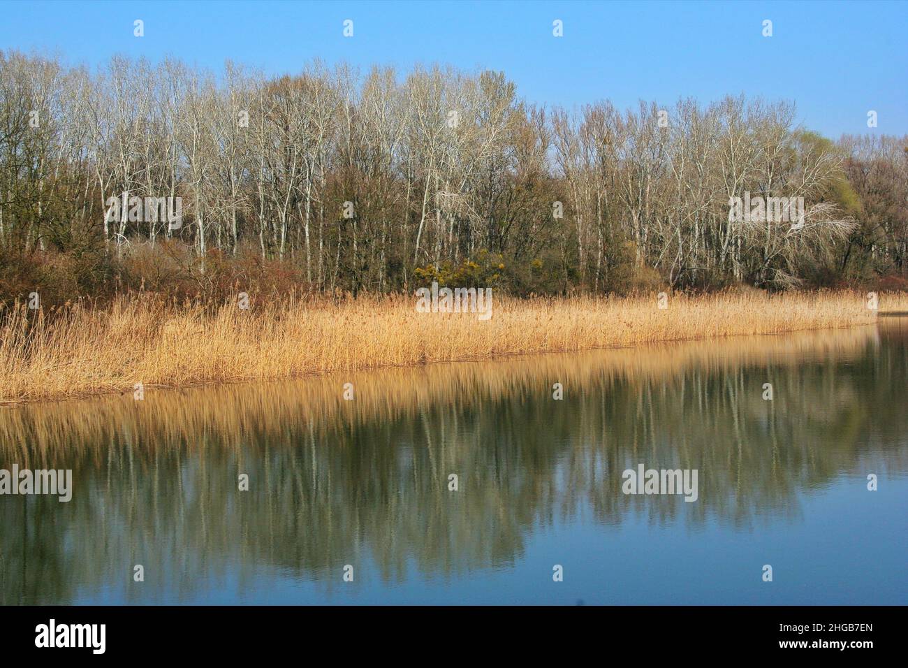 Plaine inondable du danube Banque de photographies et d’images à haute ...