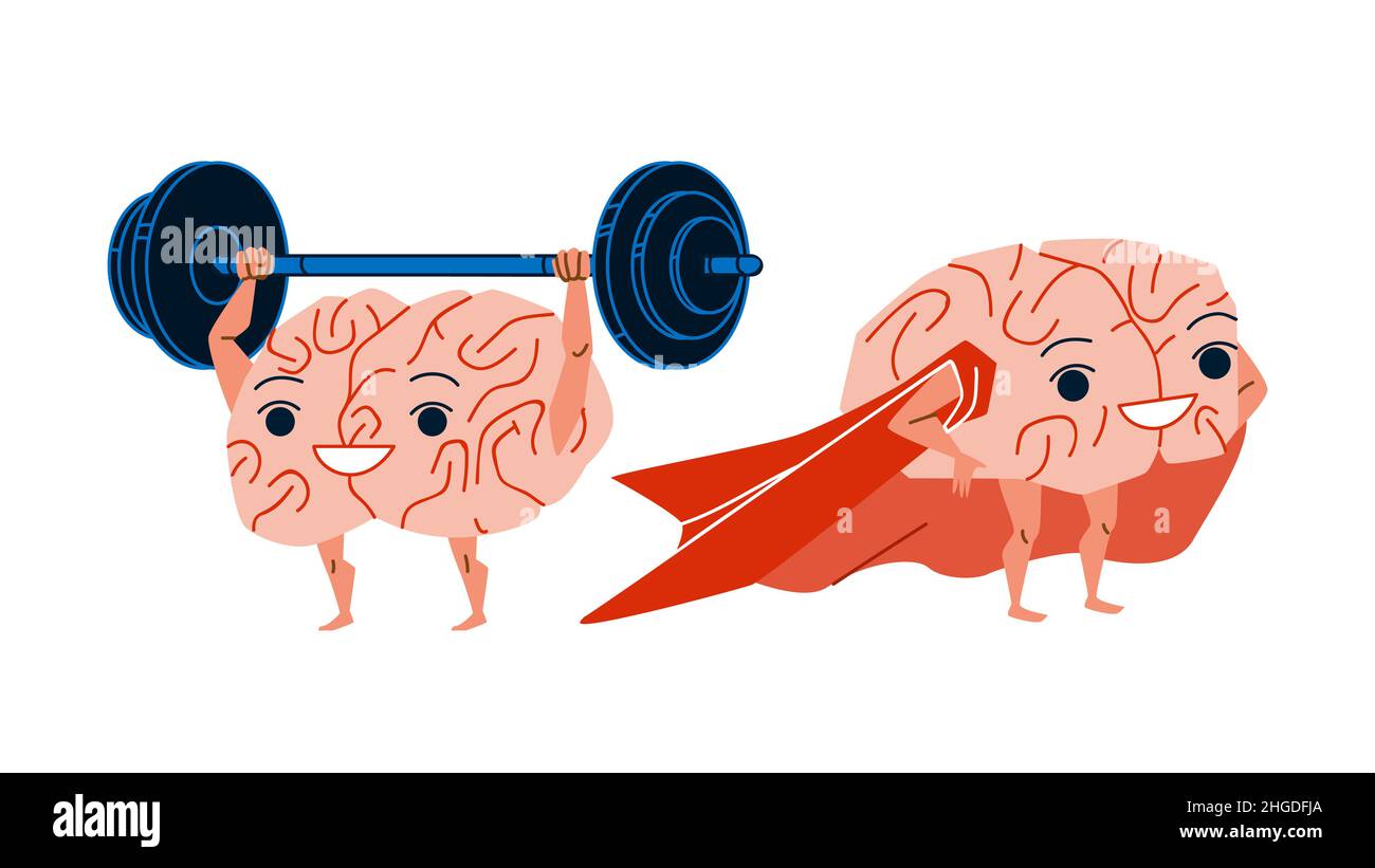 Gymnase du cerveau Banque d'images vectorielles - Page 3 - Alamy