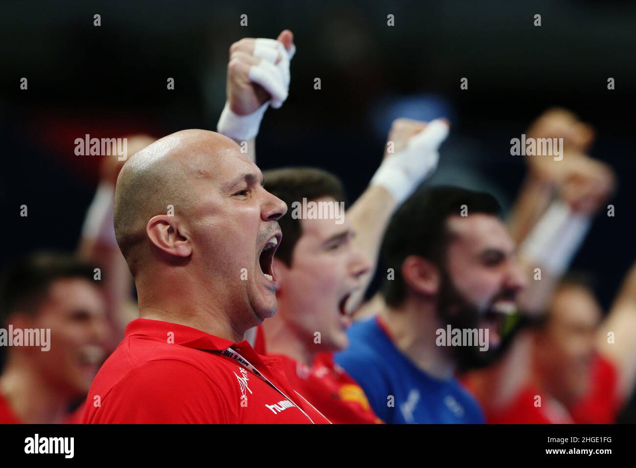 Zoran roganovic handball Banque de photographies et d’images à haute ...