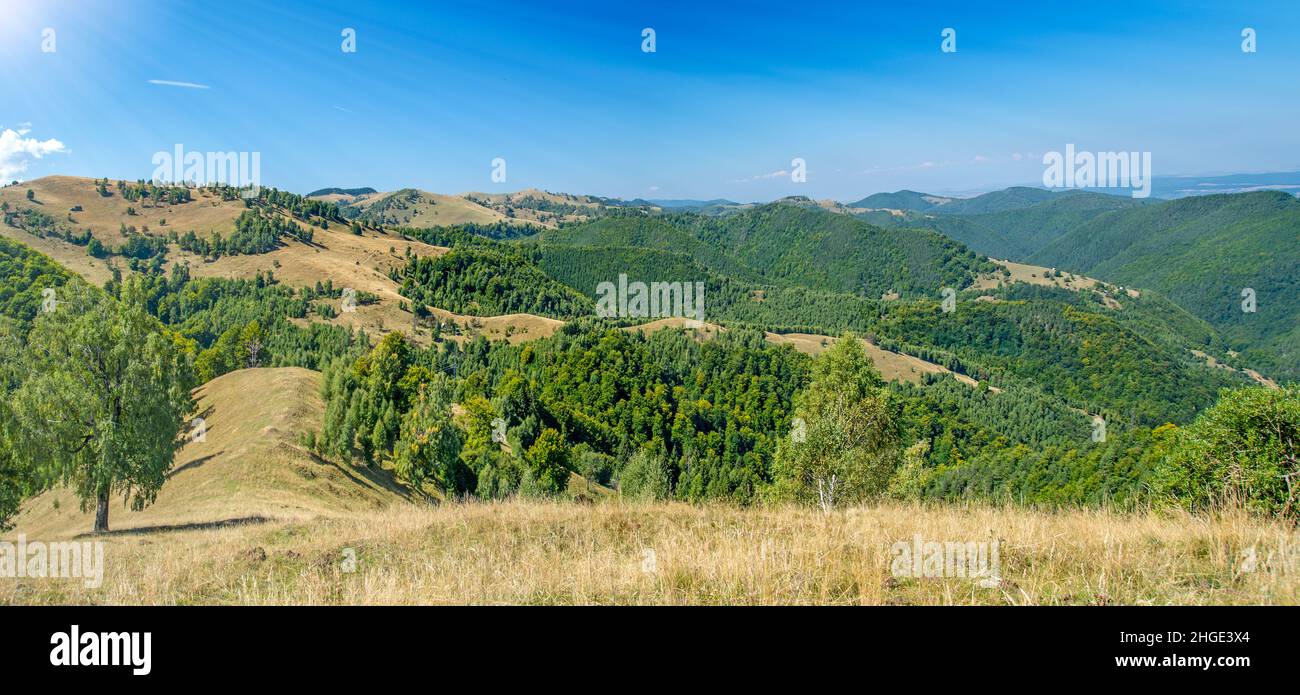 Ferme forêt des carpates montagnes Banque de photographies et d’images ...