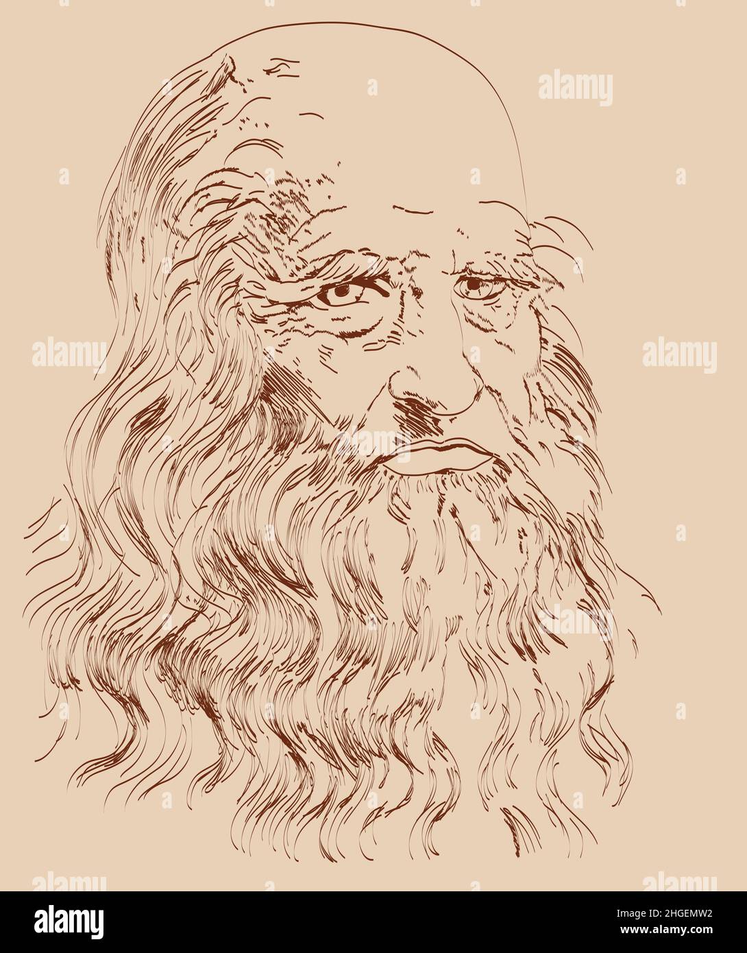 Leonardo da vinci drawing face Banque d'images vectorielles - Alamy