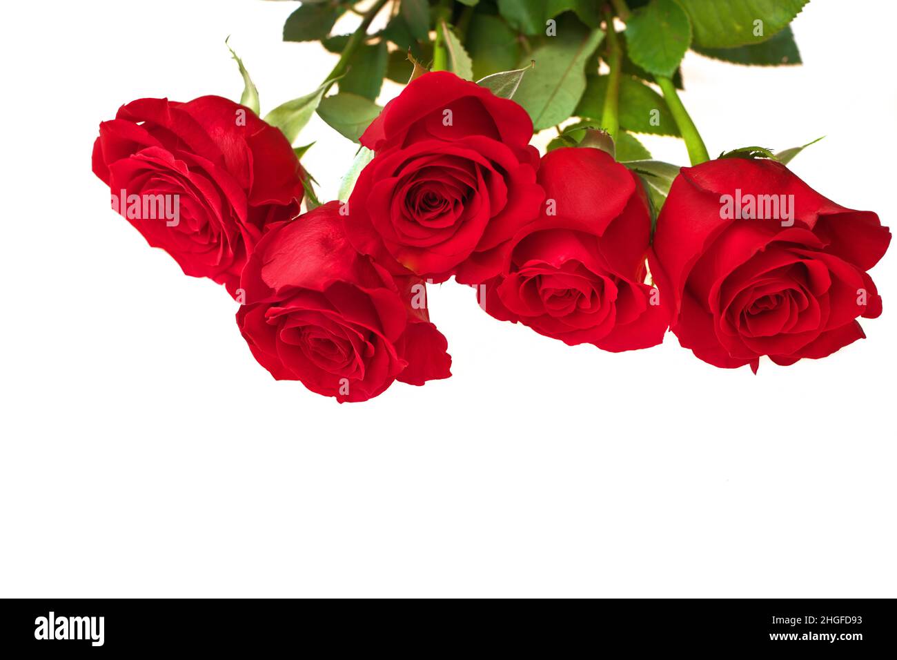 Bouquet de rose rouge Banque de photographies et d’images à haute ...