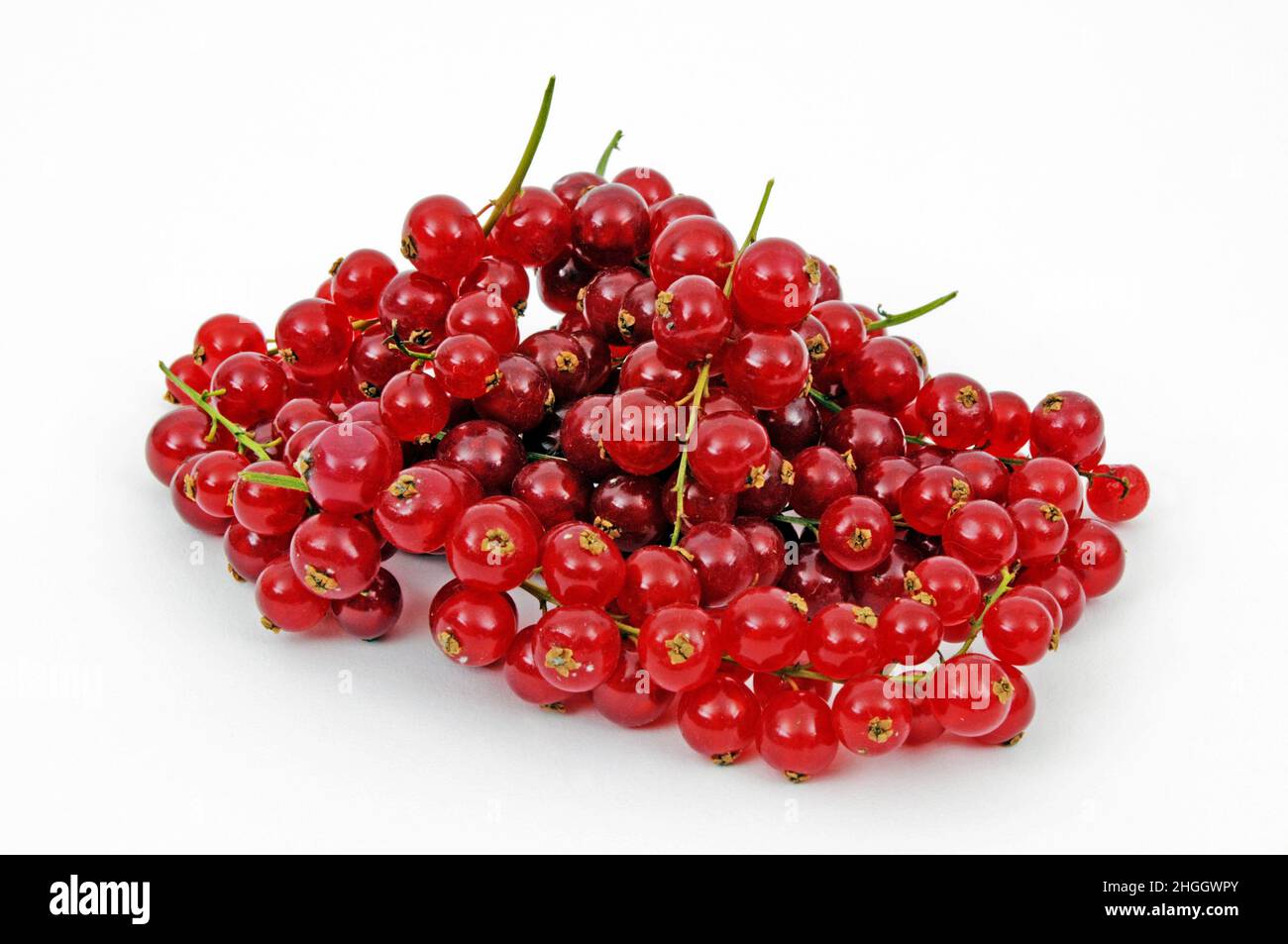 Groseille rouge du nord ribes rubrum Banque de photographies et d ...