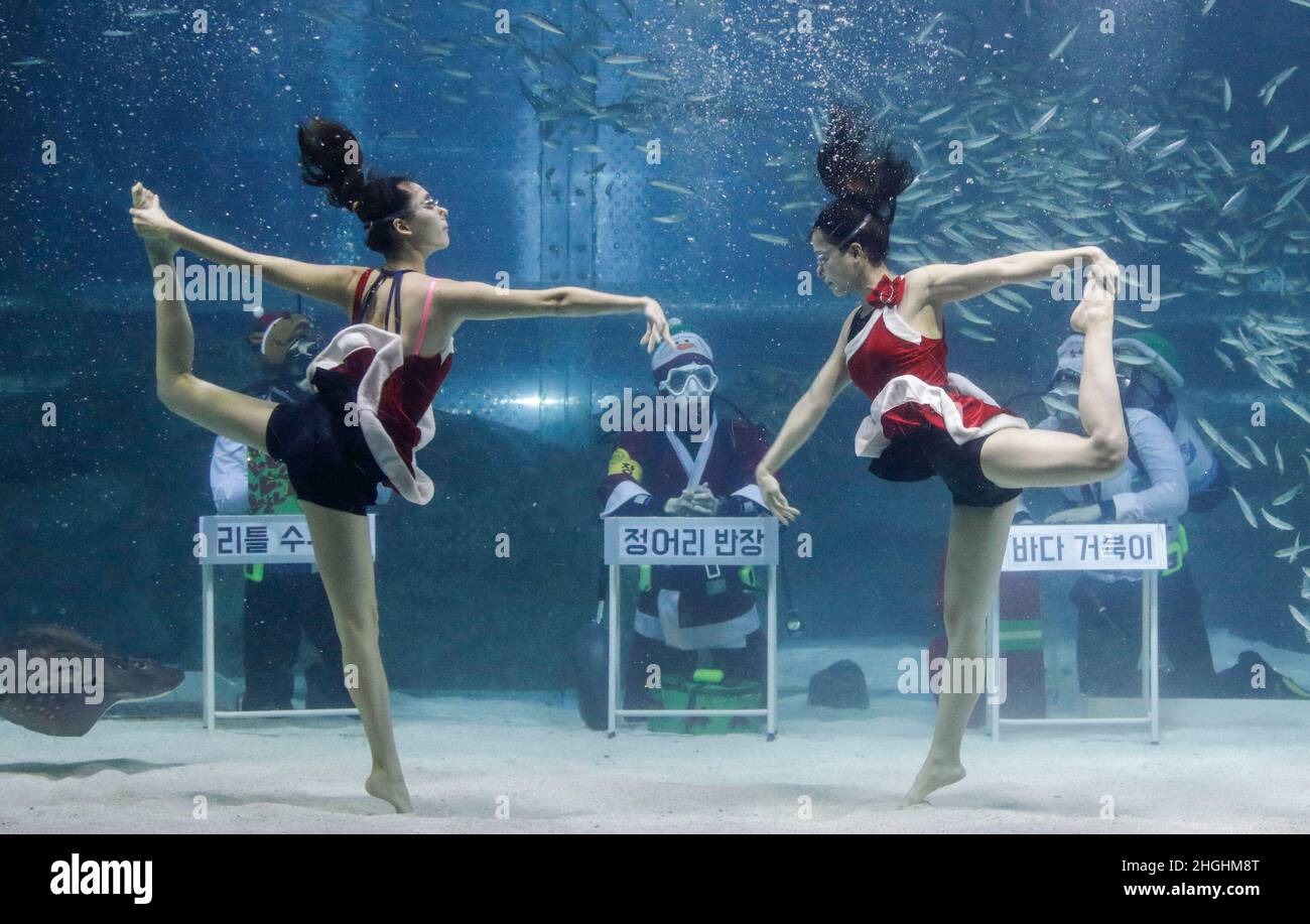 Un plongeur vêtu d'une tenue du Père Noël nage avec du poisson dans un ...