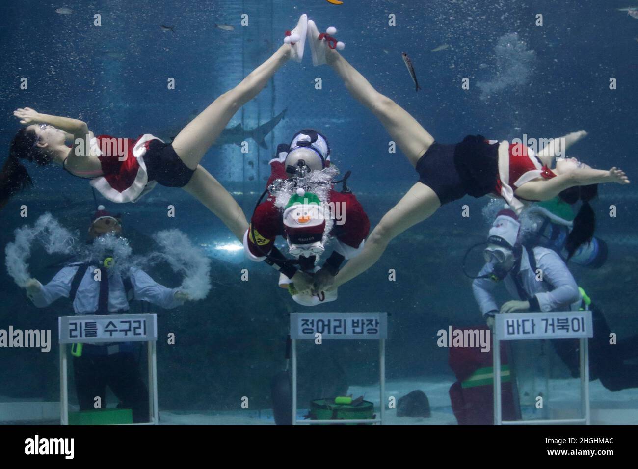 Un plongeur vêtu d'une tenue du Père Noël nage avec du poisson dans un ...