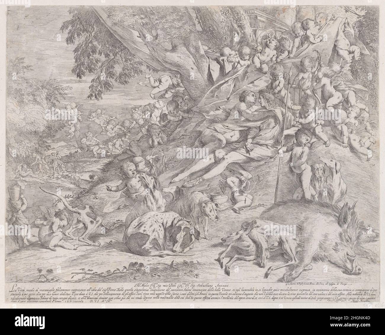 Sanglier mort Banque de photographies et d’images à haute résolution ...