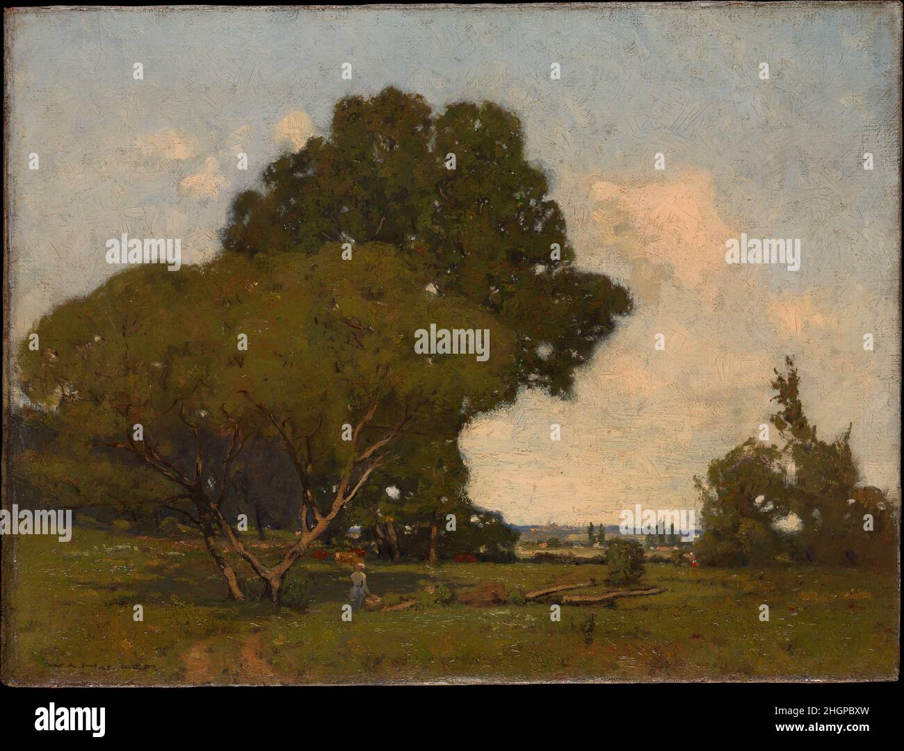 Les arbres, en début d'après-midi, France ca.1905 William A. Harper ...