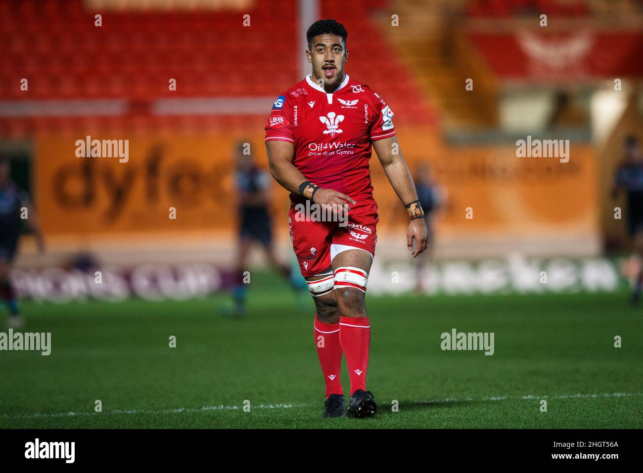 Carwyn tuipulotu Banque de photographies et d’images à haute résolution ...