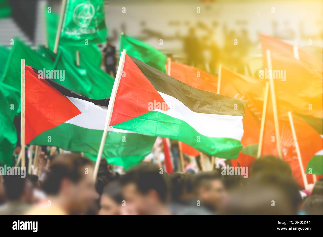 Les drapeaux palestiniens agitent par le peuple palestinien dans les ...